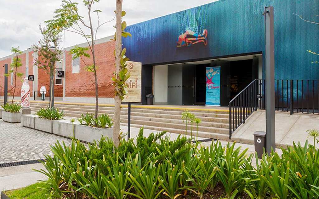 The Best Aquariums in Mexico