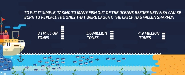 Marine conservation | Interactive Aquarium Cancun