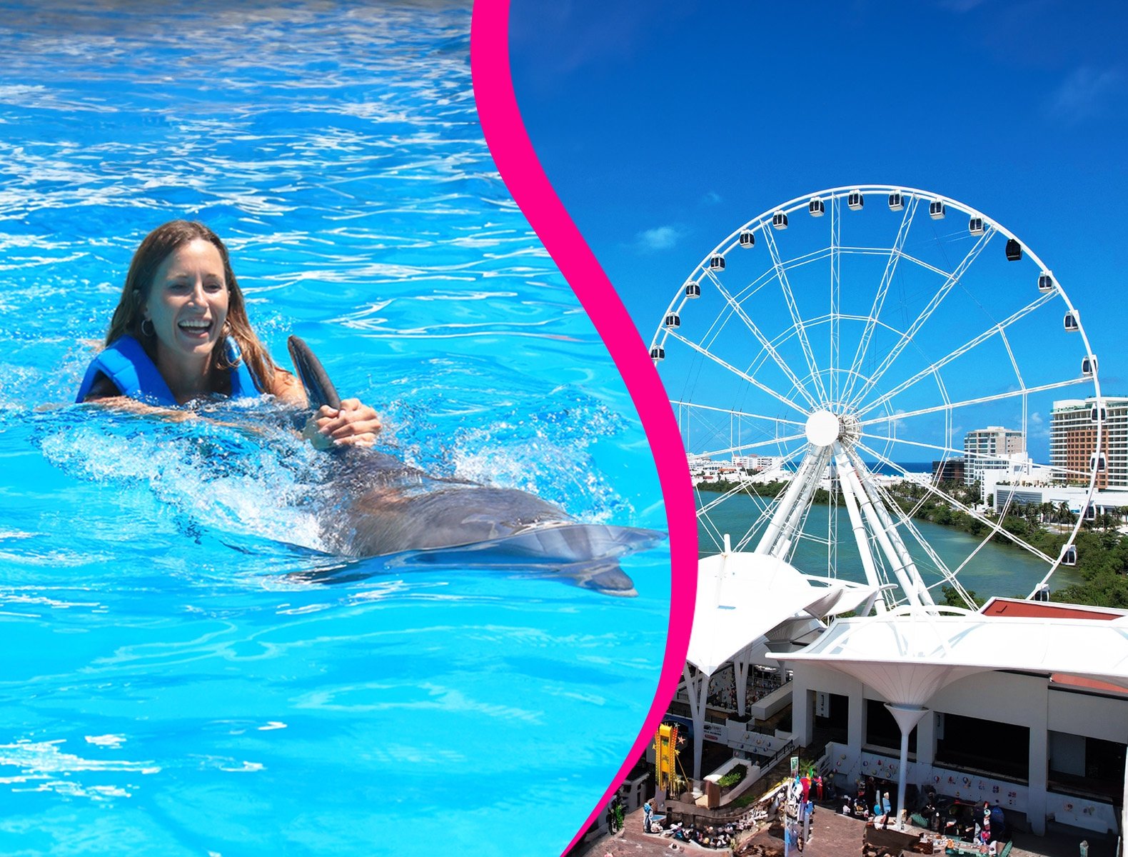 Swim with dolphins in Cancun | Interactive Aquarium Cancun