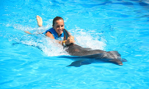 Prices | Interactive Aquarium Cancun