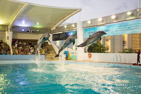 What to Do in Cancun? Unforgettable Activities for Families, Couples ...