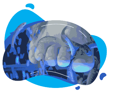 Fish spa in Cancun | Interactive Aquarium Cancun